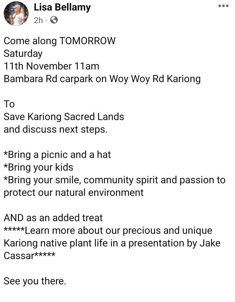 Lisa Bellamy won’t be silenced, not even on the 11th hour on the 11th ...